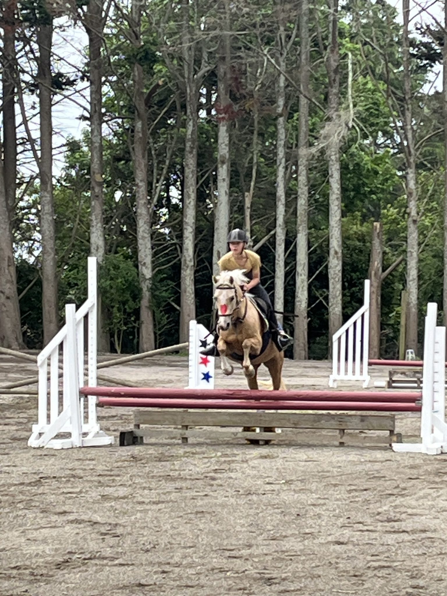 Pony Tales Riding School - Horse and pony riding lessons - Cambridge.