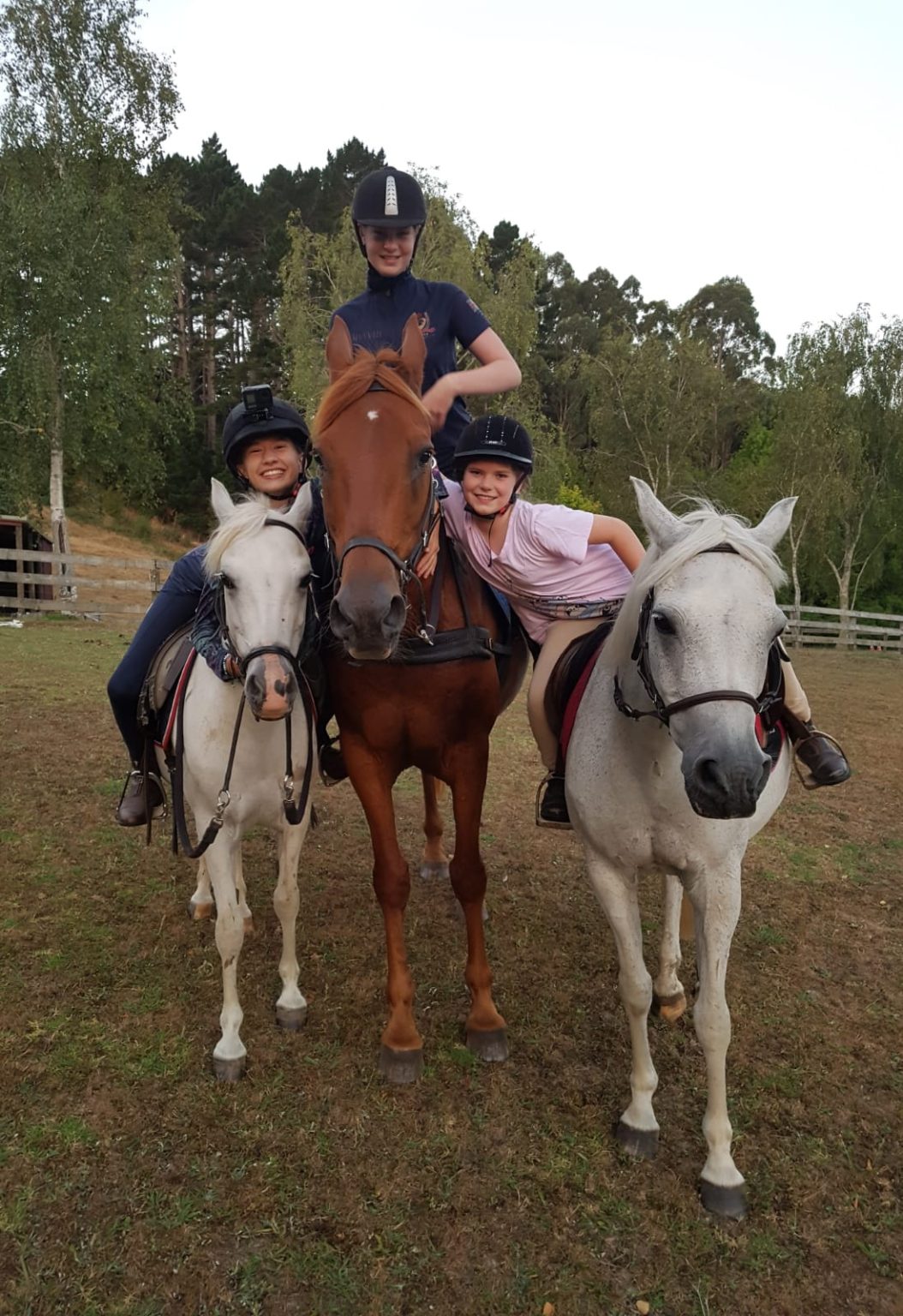Pony Pals - Monday 29th September - Pony Tales Riding
